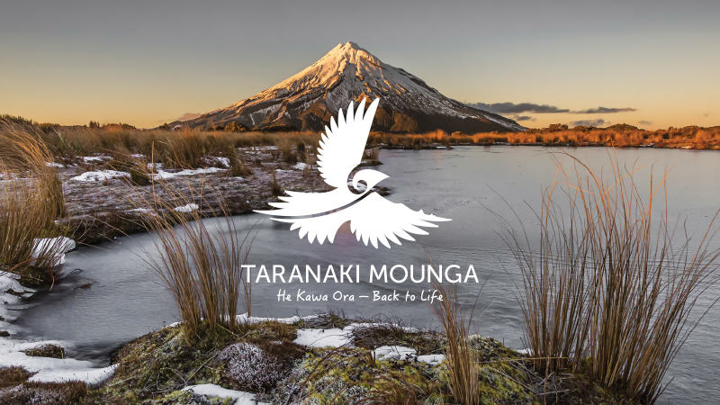 Taranaki Mounga | Favour The Brave
